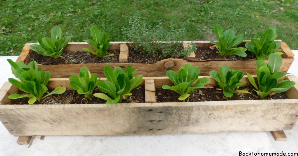 DIY Pallet Planter Boxes - Back to Homemade